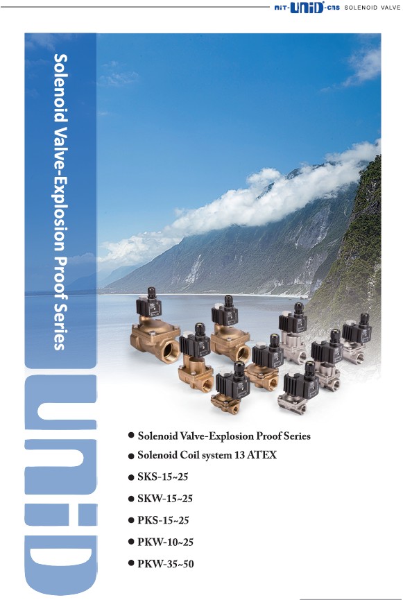 Explosion Proof Type - 317 Valve